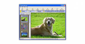 12 Best Free Photo Printing Software for Windows 10/11 (2024 ...