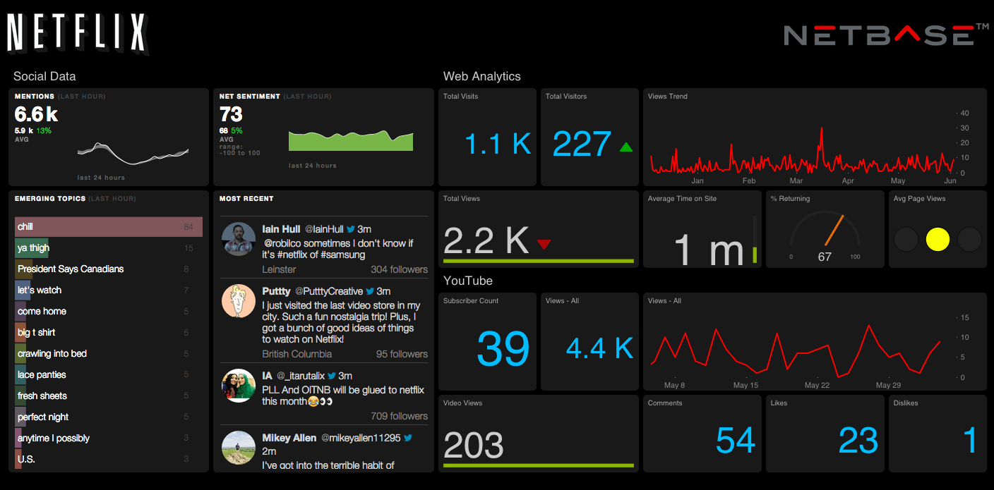 NetBase Pricing, Reviews and Features (August 2021) - SaaSworthy.com