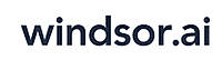 Windsor.ai - Features & Pricing (December 2025)