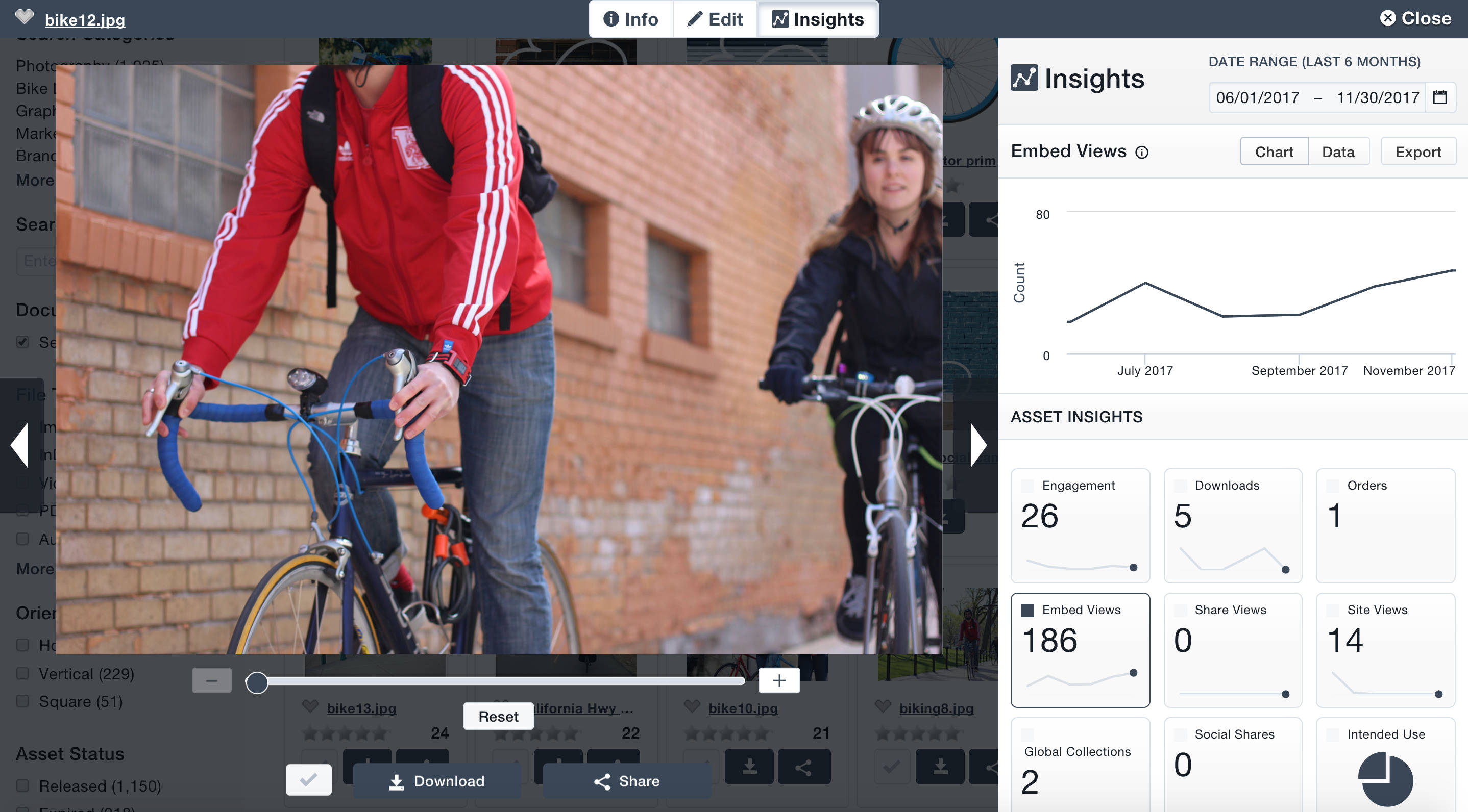 Widen Collective Pricing, Reviews and Features (March 2020 ...