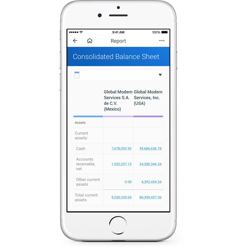 Workday Financial Management Pricing, Reviews and Features (March 2021 ...